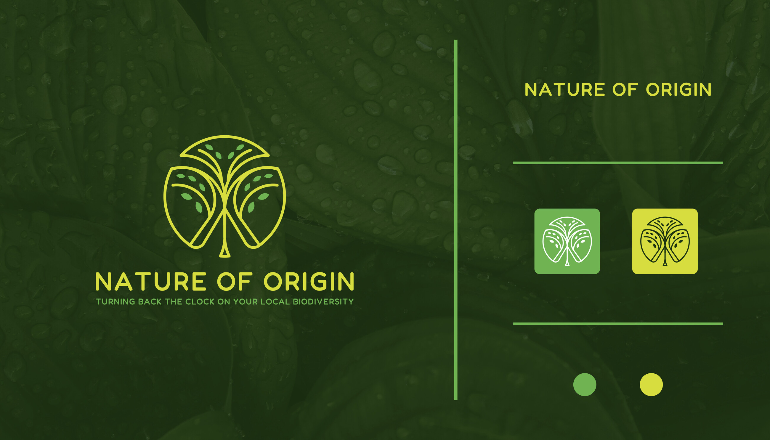 Meet the Entrepreneurship student looking to turn back the clock on ...