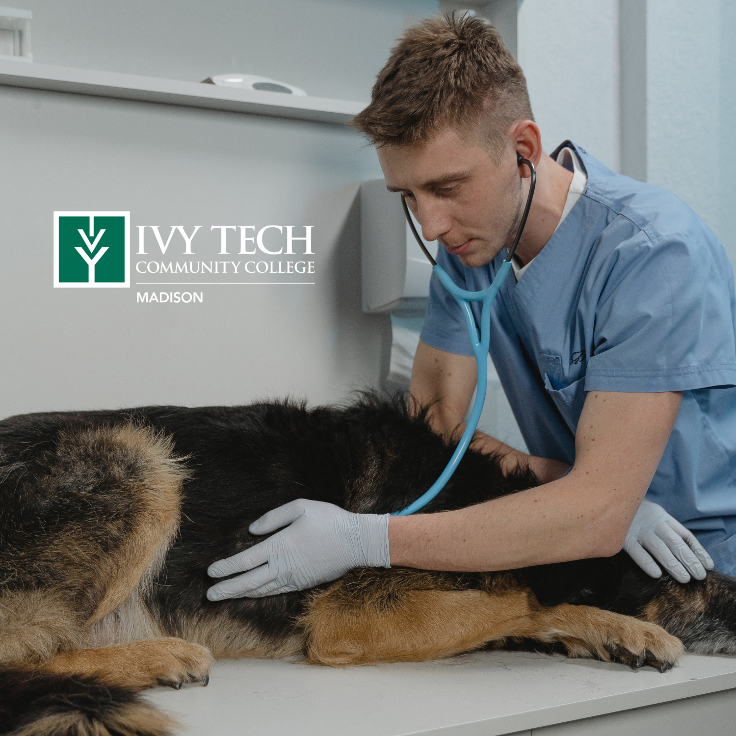 Madison - Ivy Tech Community College