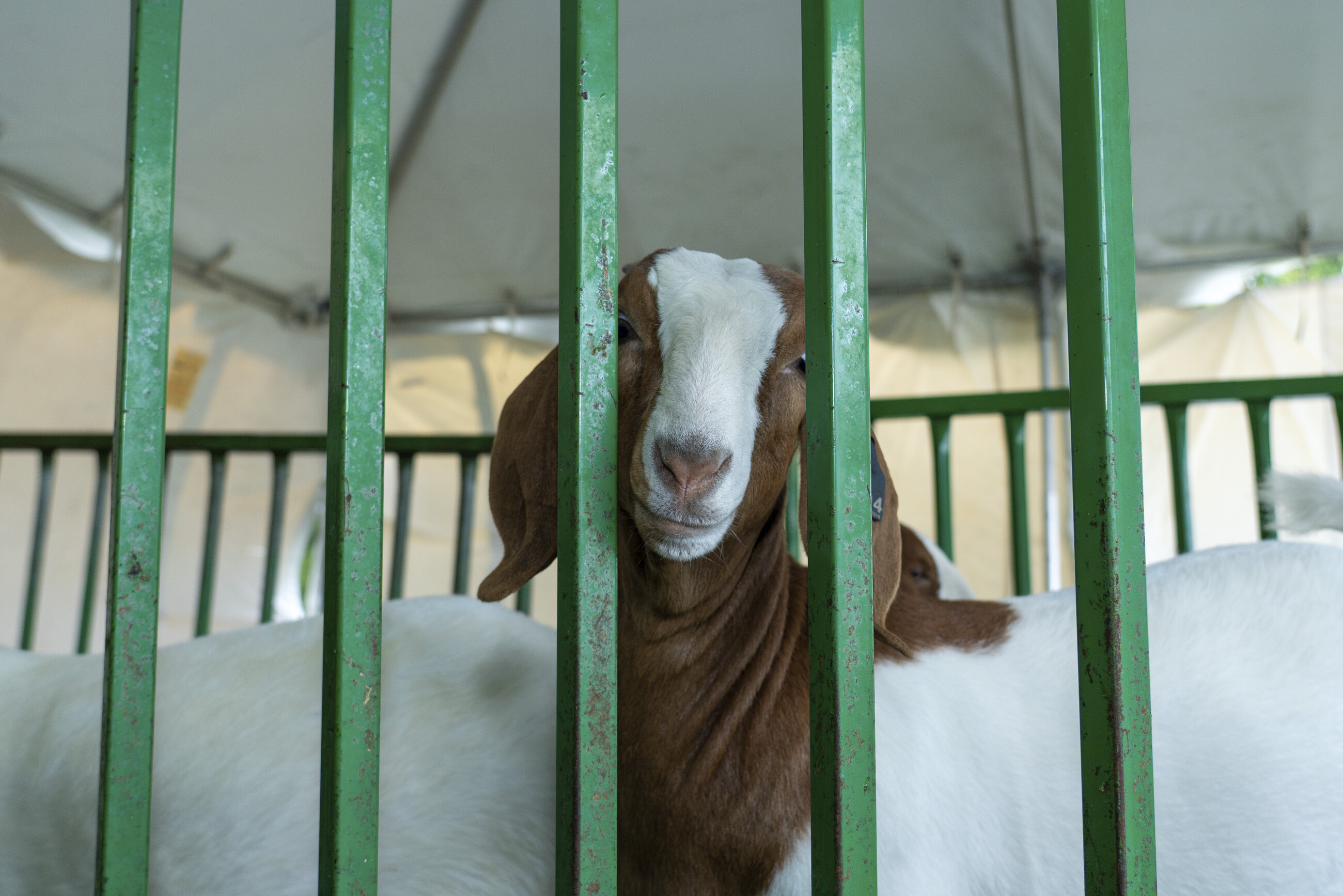 Ivy Tech Bloomington to host Human Library® - Ivy Tech Community College